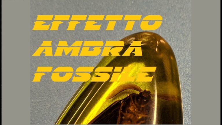 L'ambra con insetto: il tesoro nascosto di valore. | Actualizado ...