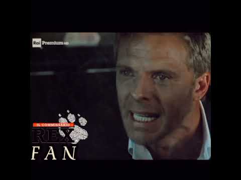 La tragica morte di Rex: il mondo del cinema piange la perdita di un ...