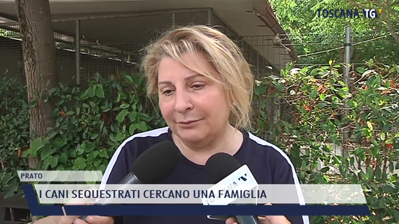 Adorabili cuccioli in cerca di casa: scopri il canile di Grosseto ...