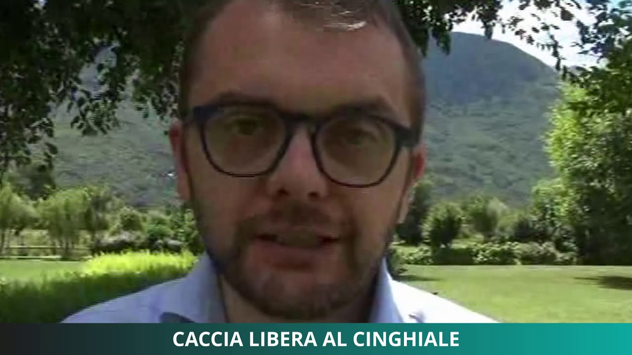 Caccia Libera: Guida alla Pratica Ottimizzata | Actualizado Ottobre 2025